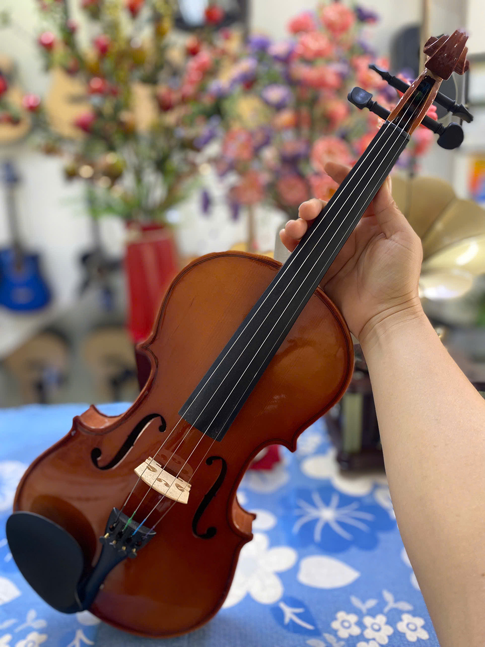Đàn Violin Omebo RV205 mới 100% chính hãng, mua góp linh hoạt